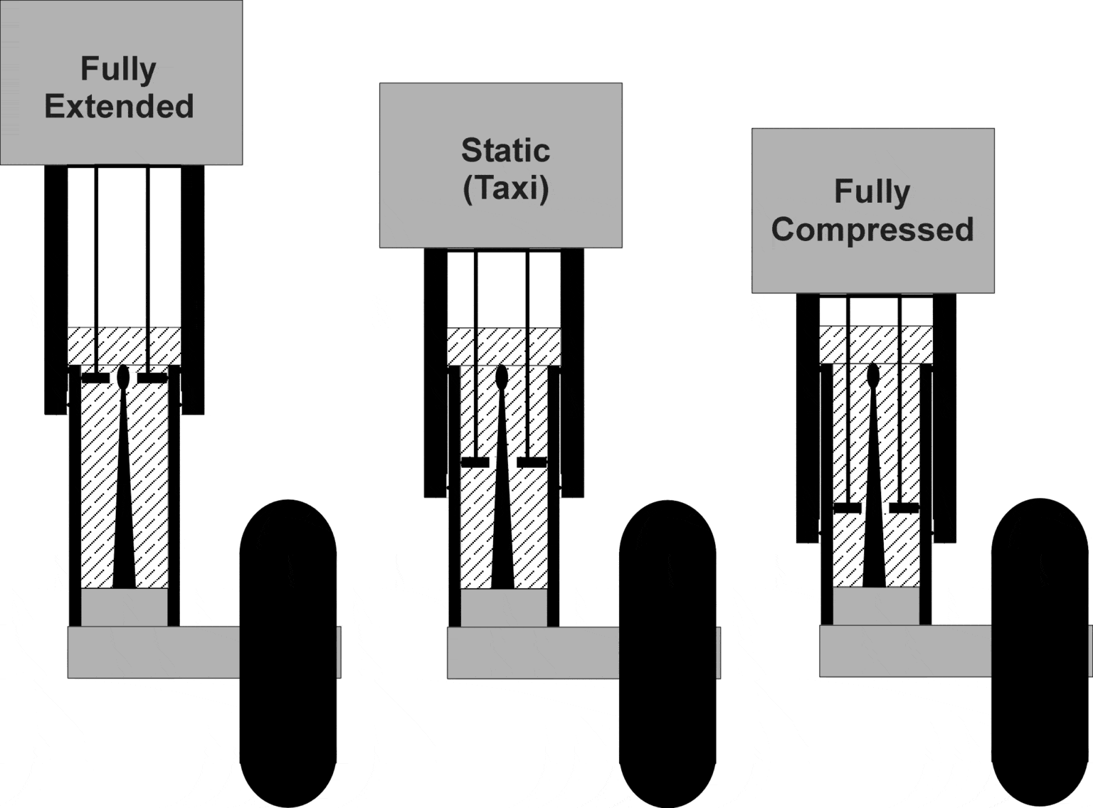 Oleos - SavvyAviation